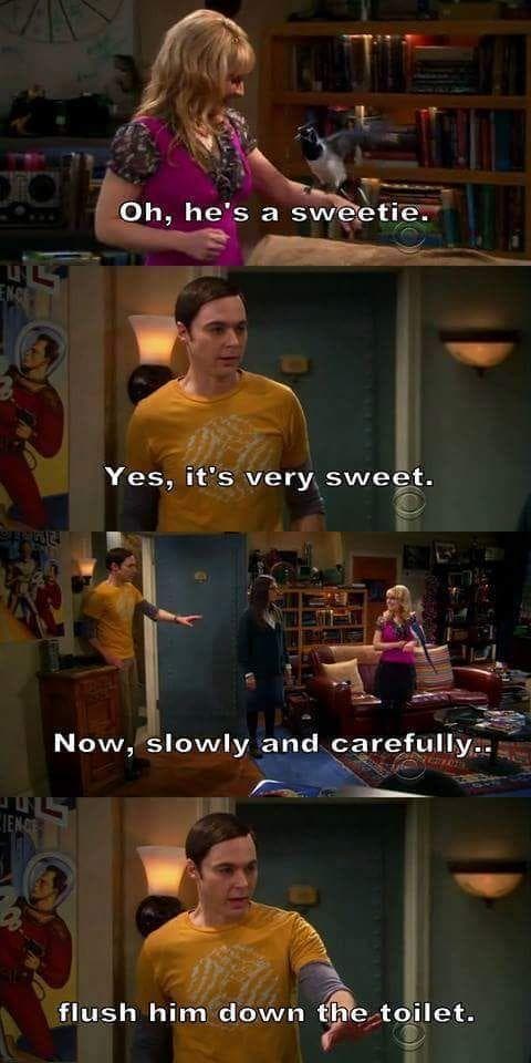 The Most Savage Sheldon Cooper Insults In 'The Big Bang Theory'