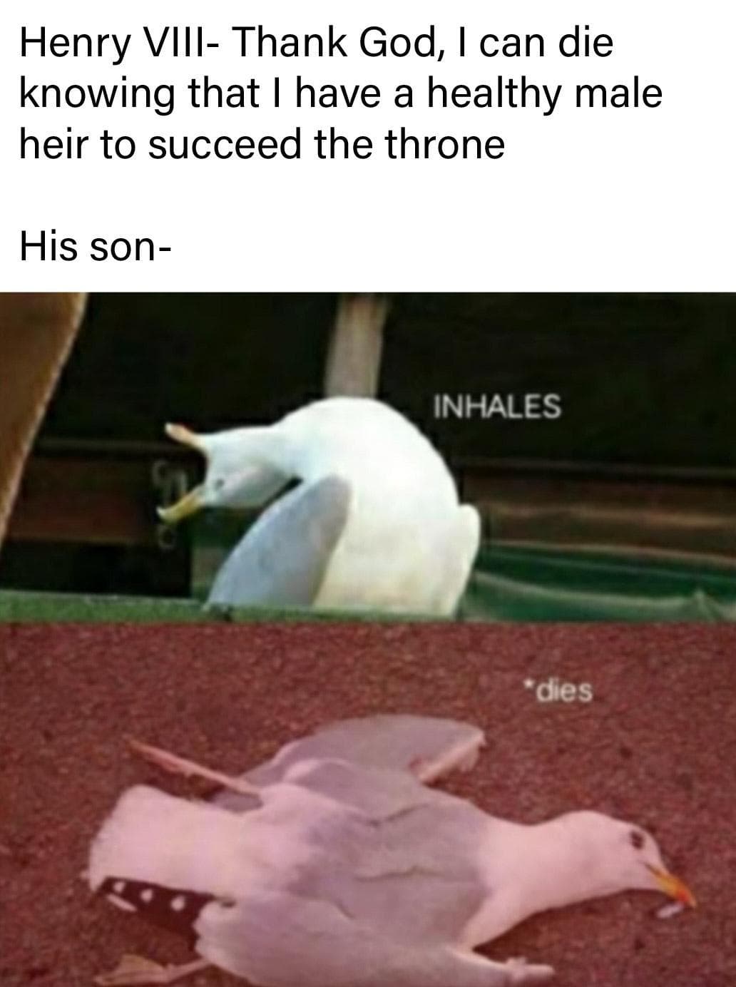 26 Dark But Funny History Memes You Don't Have To Be A Historian To ...