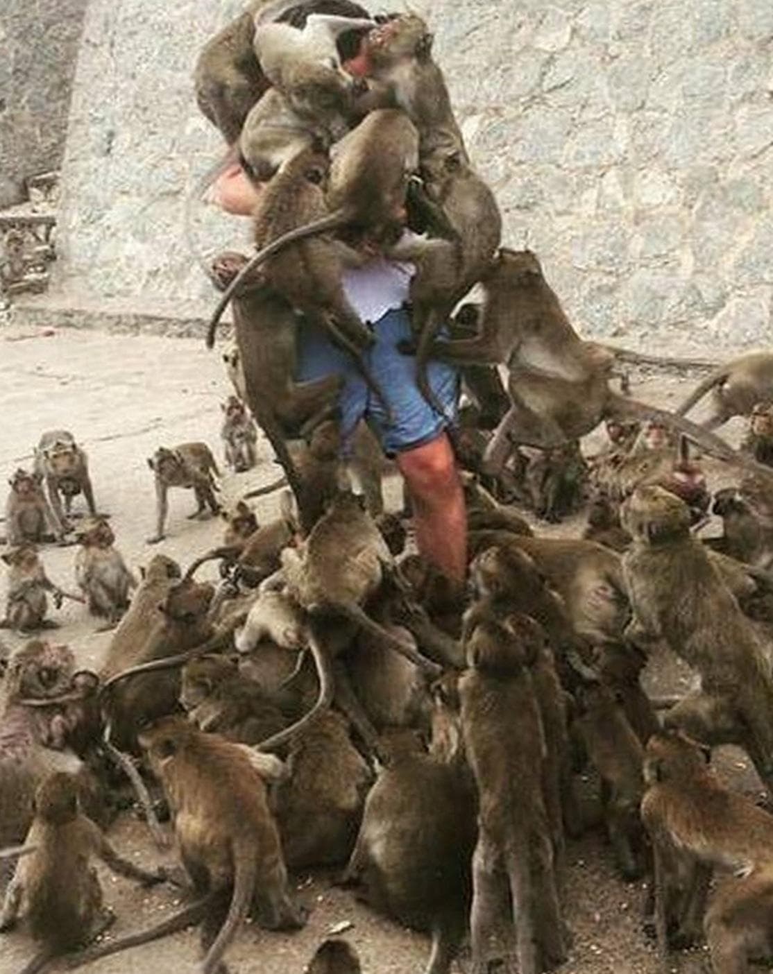 21 Mildly Disturbing Pictures That Unlocked New Fears The Longer We ...