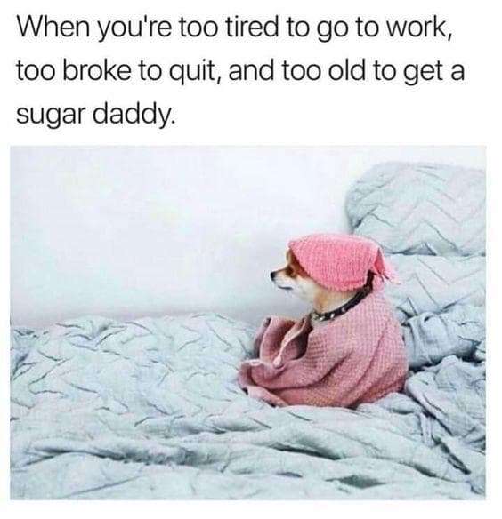 30 Relatable Work Memes That Have Us Circling Back For More