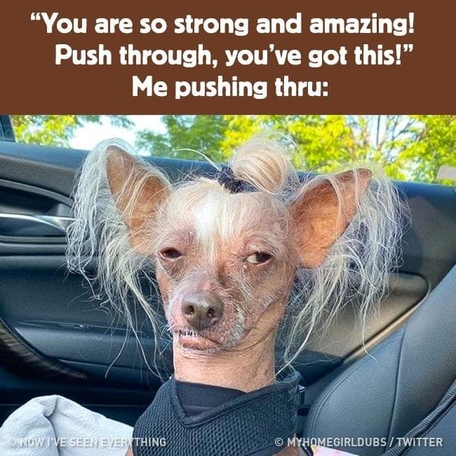 30 Relatable Work Memes That Have Us Circling Back For More