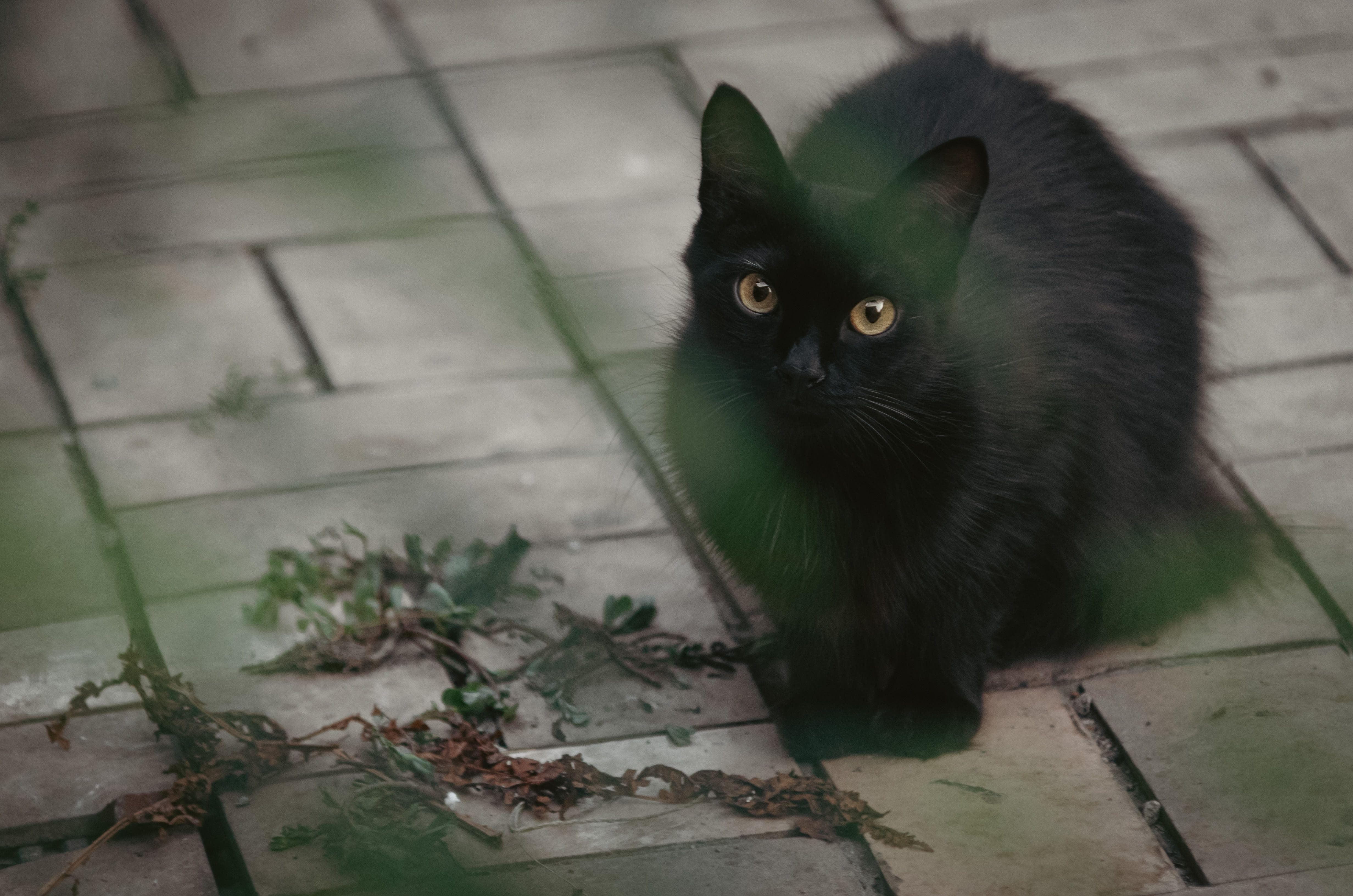 Graveyard Shift Readers Share Their Spooky Dreams