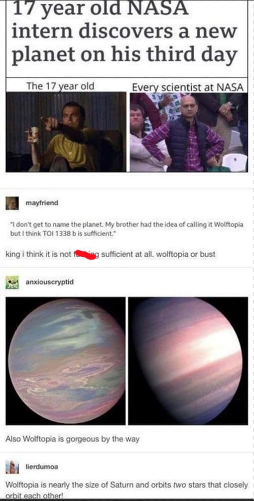 24 Of The Most Unhinged Posts We Saw On Tumblr This Week