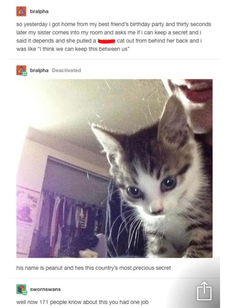 24 Of The Most Unhinged Posts We Saw On Tumblr This Week