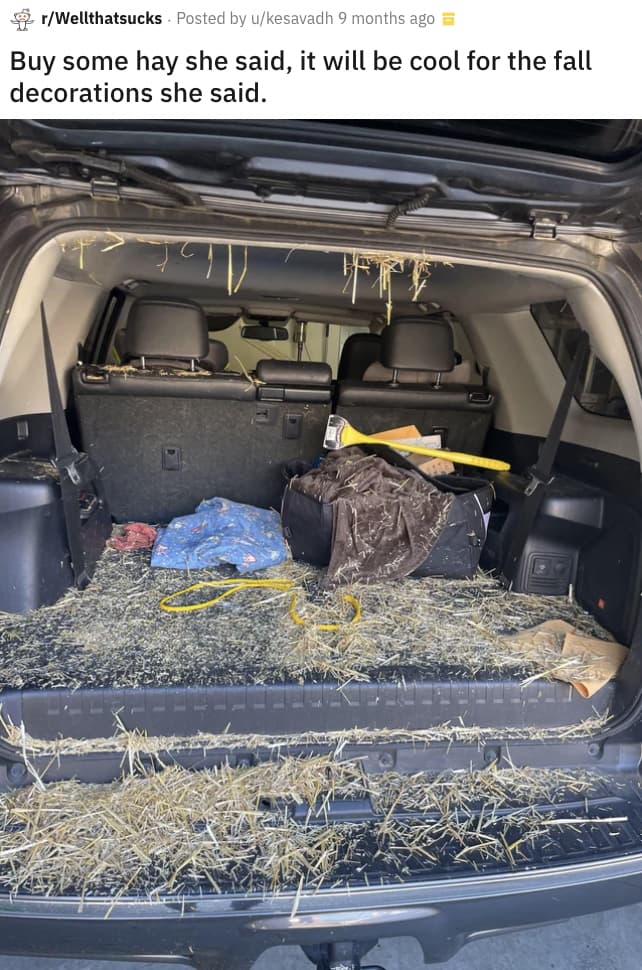 20 Mildly Infuriating Fall Fails That Made Us Less Excited For Autumn