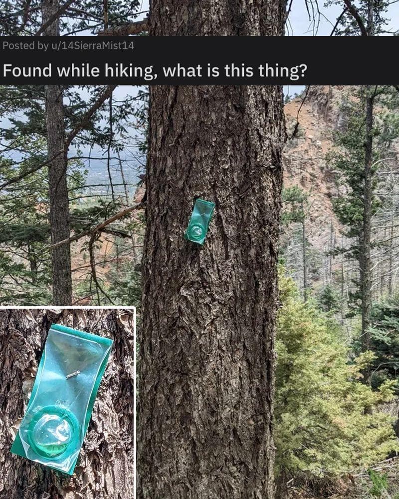 People Are Asking For Help To Identify The Bizarre Objects They Found And The Answers Are Startling