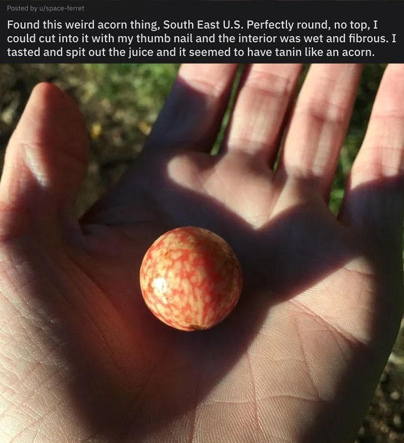 People Are Asking For Help To Identify The Bizarre Objects They Found ...