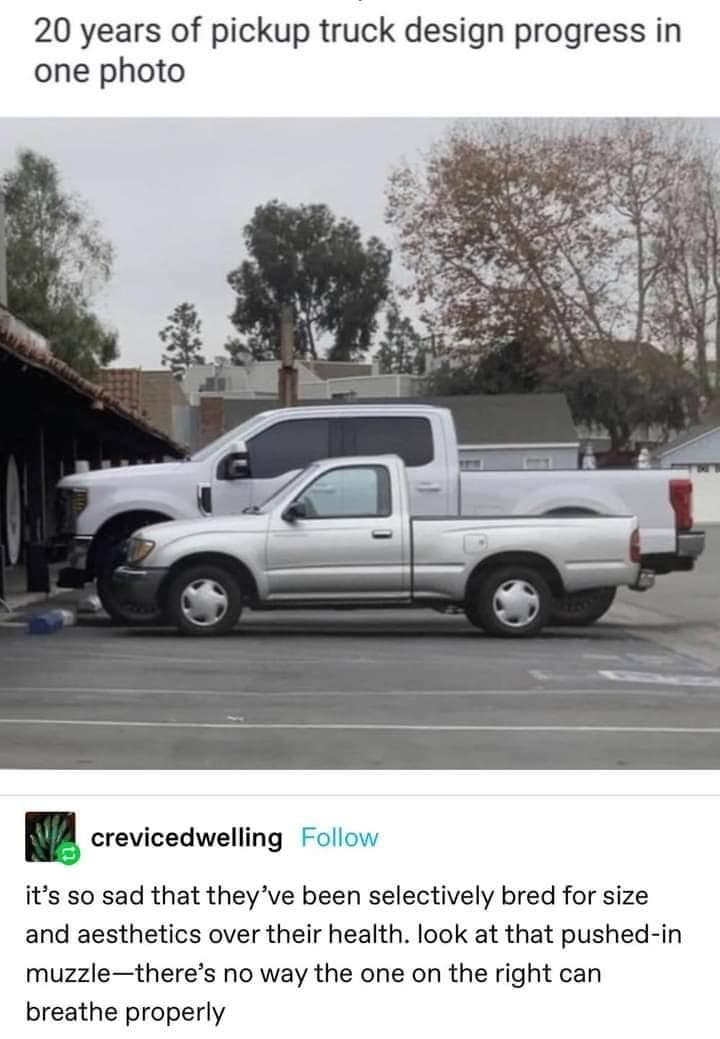 26 Of The Absolutely Most Unhinged Tumblr Posts We Saw This Week