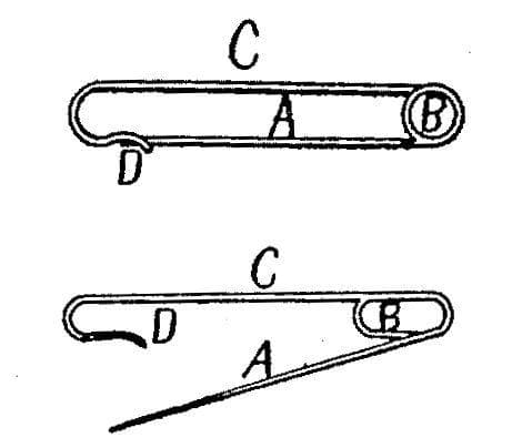 Bizarre Facts True Surprising