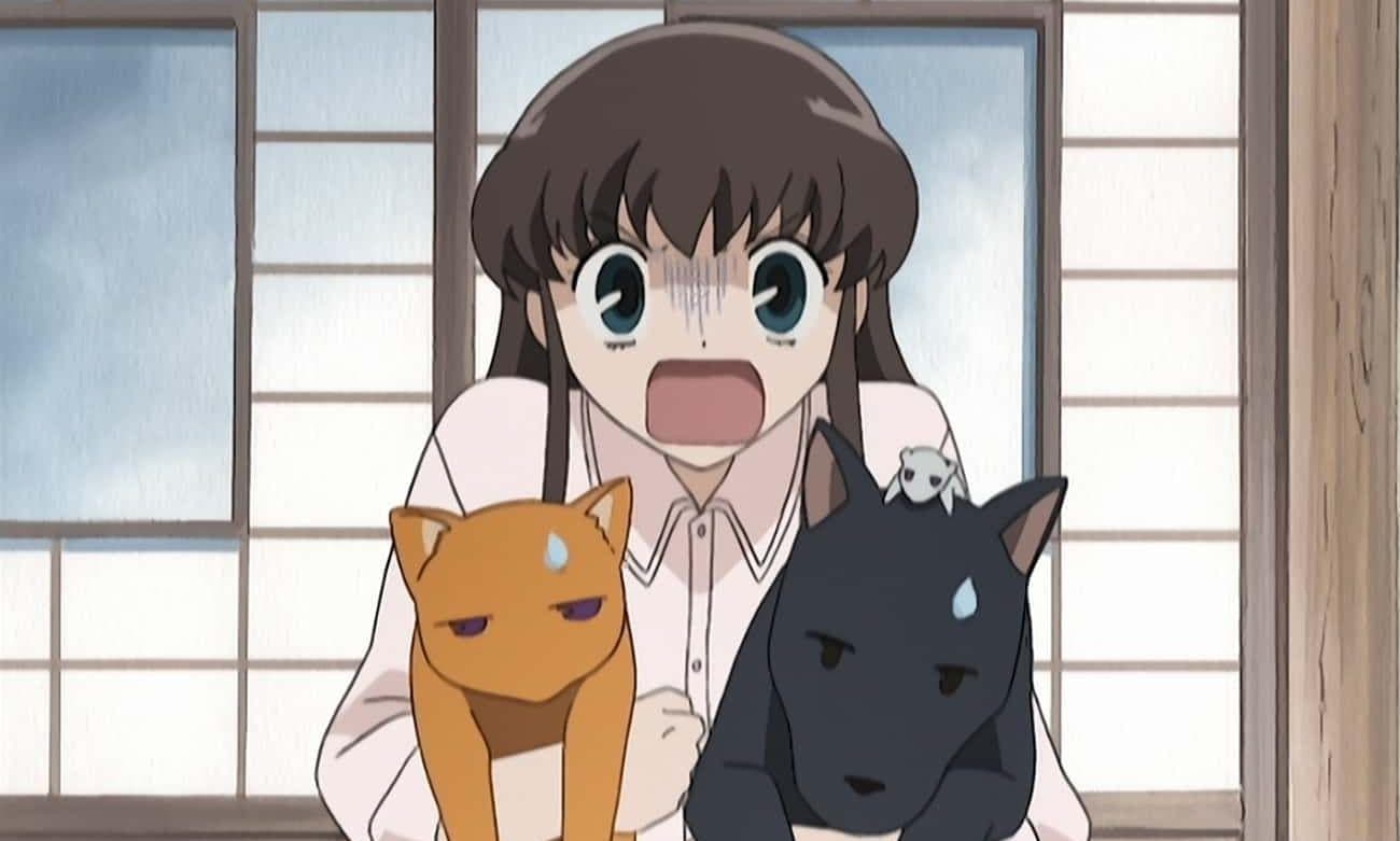 The 20 Best Romance Anime From The 2000s, Ranked