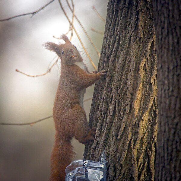 Weird History Readers Share The Scariest Urban Legends They Heard ...