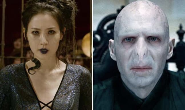 Wholesome Fan Theories About 'Harry Potter' Villains
