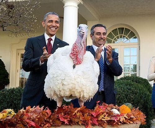 Debunking The Myths: The Actual Story Behind Thanksgiving