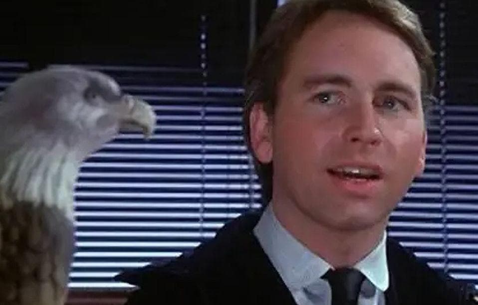 30 Most Attractive Fictional Male Presidents, Ranked By Viewers