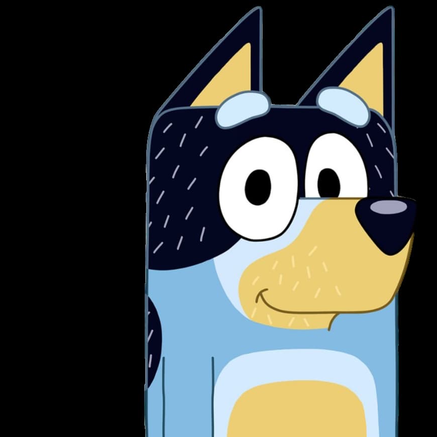 The Best Bluey Characters, Ranked by Fans