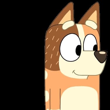 The Best Bluey Characters, Ranked by Fans