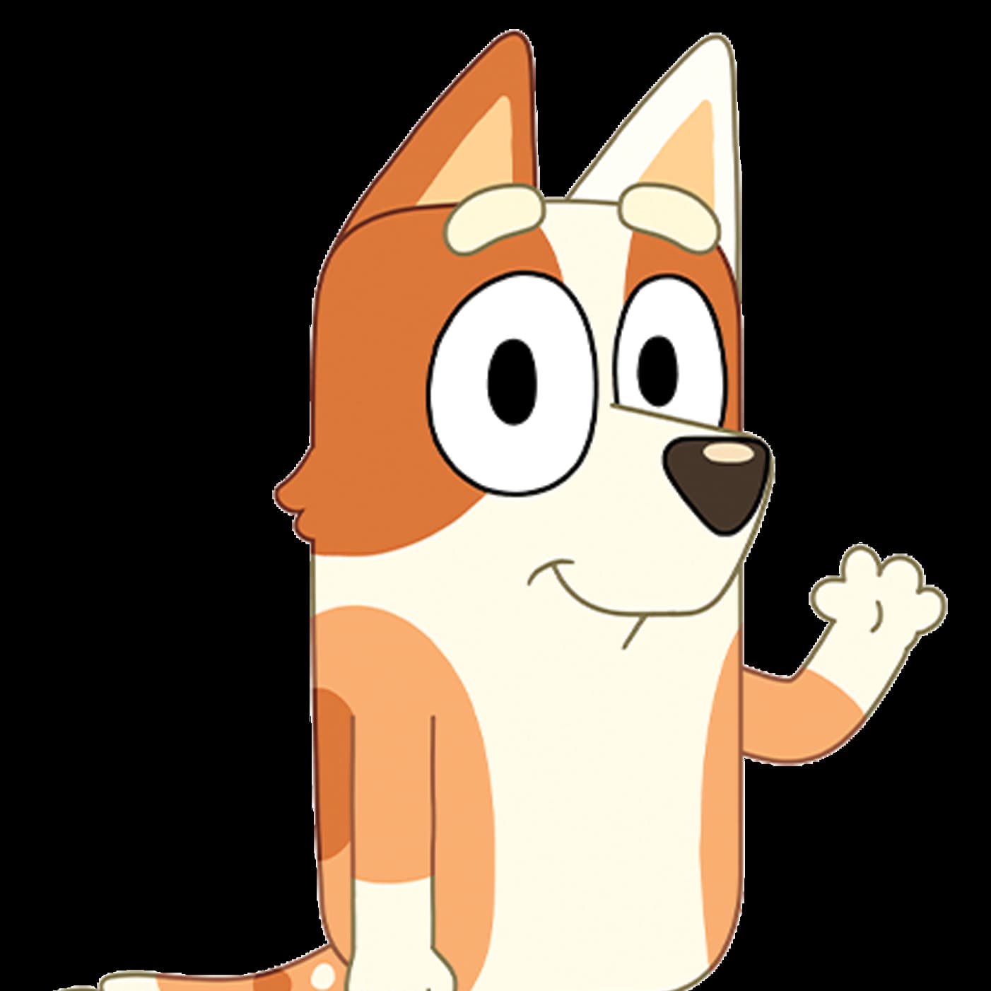 The Best Bluey Characters, Ranked by Fans