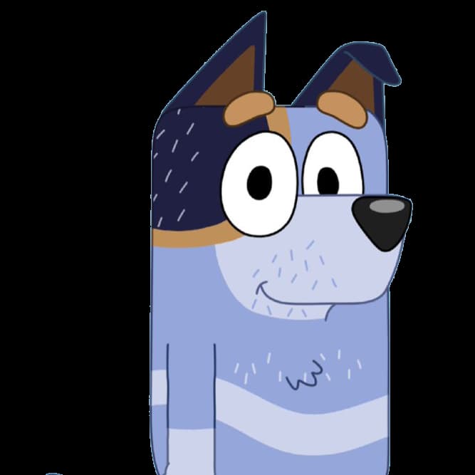 The Best Bluey Characters, Ranked by Fans