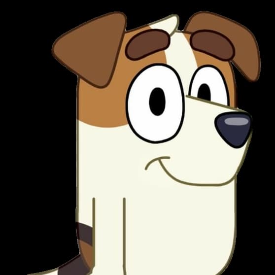 The Best Bluey Characters, Ranked by Fans