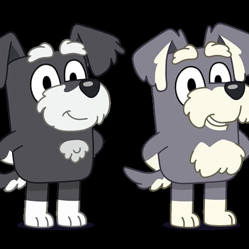 The Best Bluey Characters, Ranked by Fans