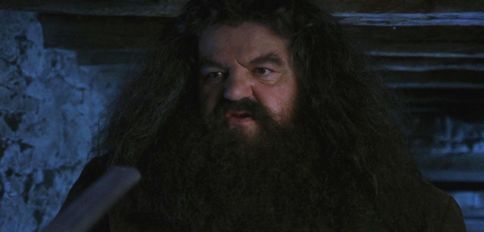 The 16 Best Hagrid Quotes, Ranked By Potterheads