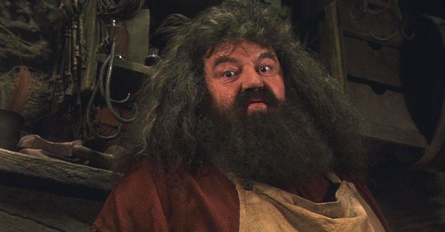 The 16 Best Hagrid Quotes, Ranked By Potterheads