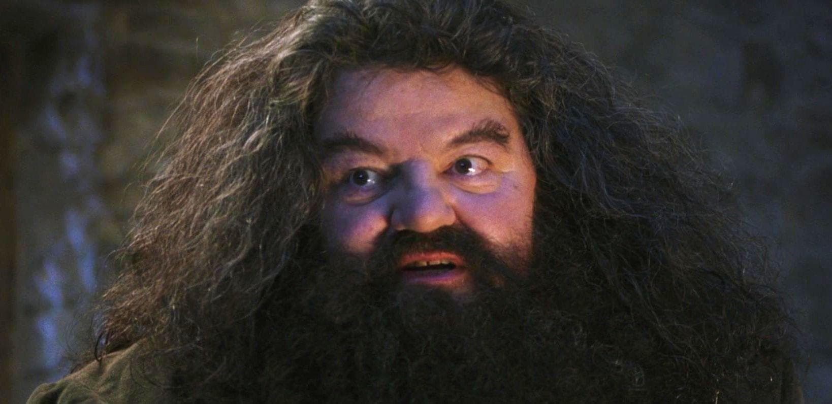 The 16 Best Hagrid Quotes, Ranked By Potterheads