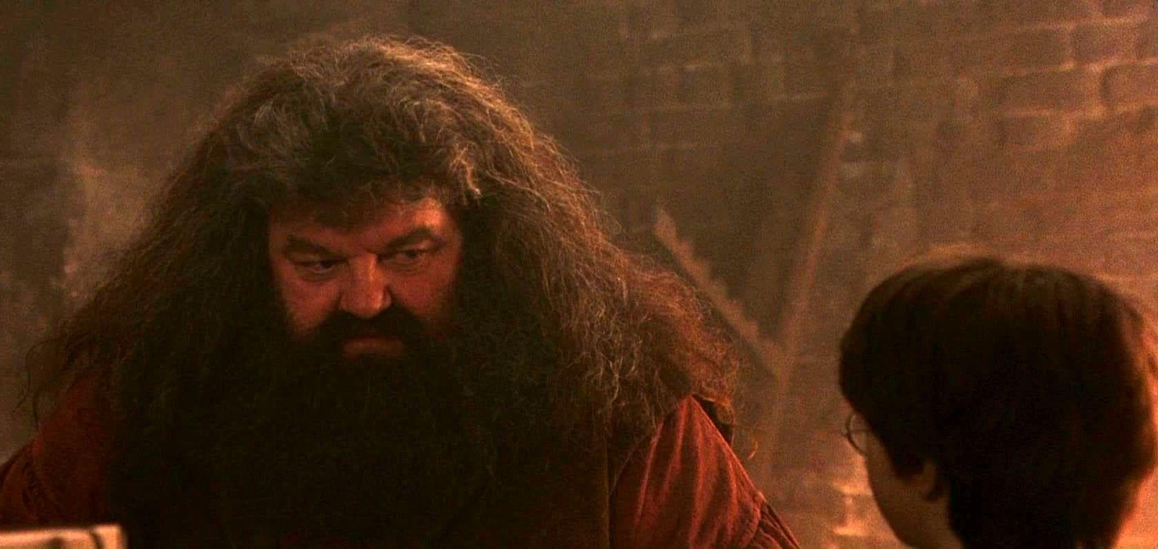 The 16 Best Hagrid Quotes, Ranked By Potterheads