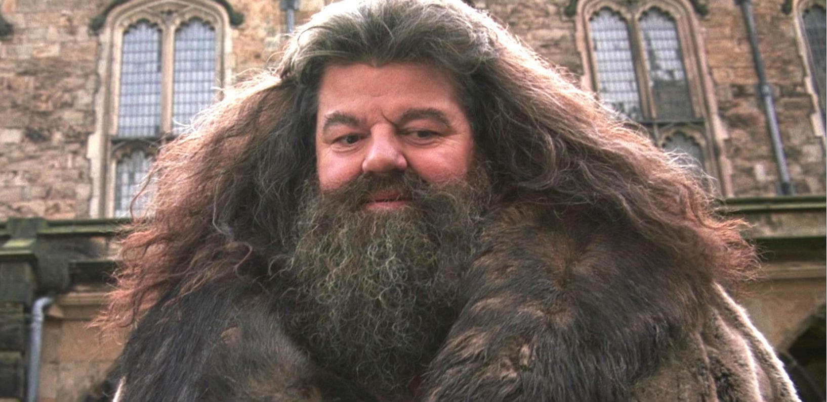 The 16 Best Hagrid Quotes, Ranked By Potterheads