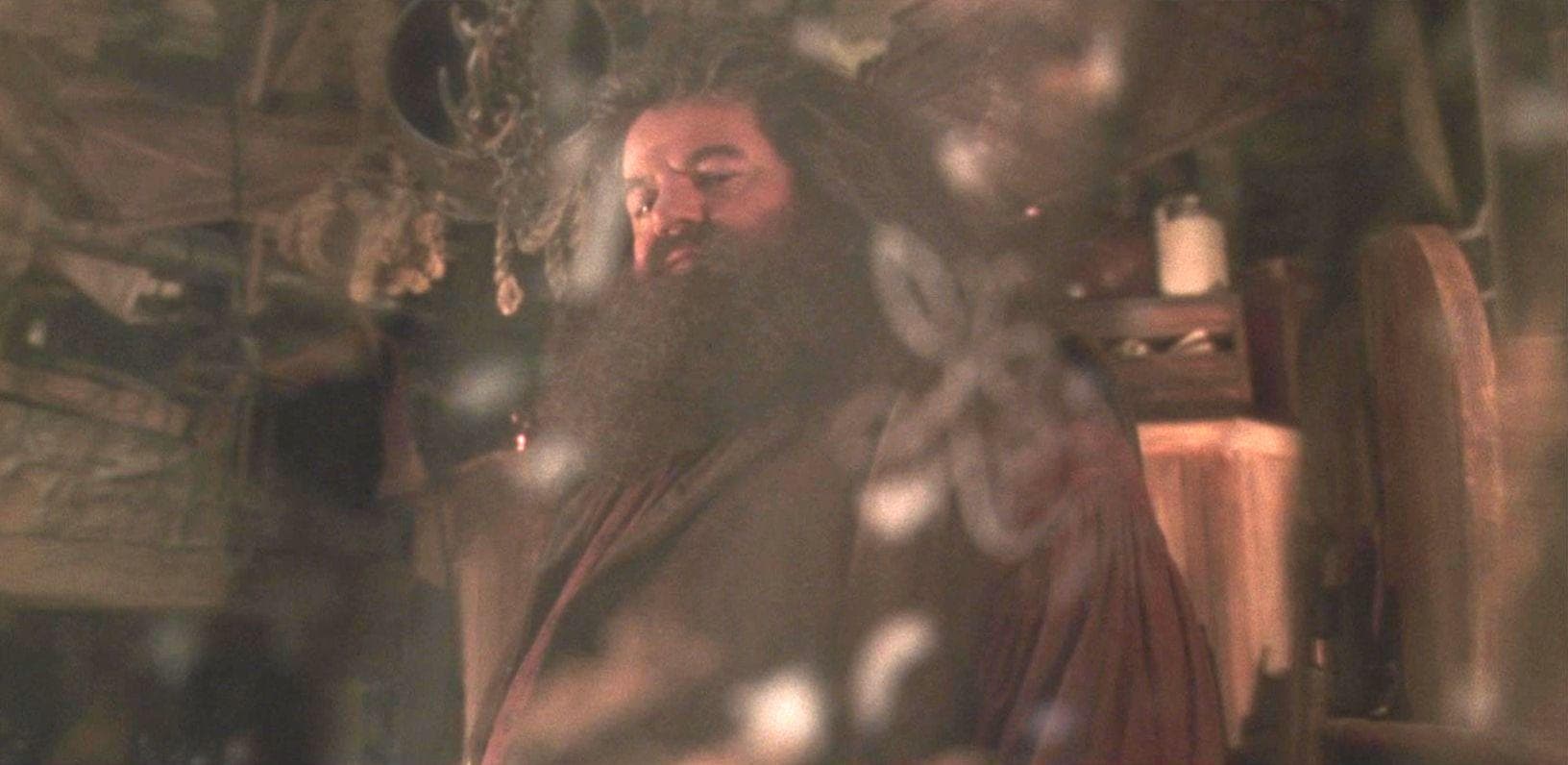 The 16 Best Hagrid Quotes, Ranked By Potterheads