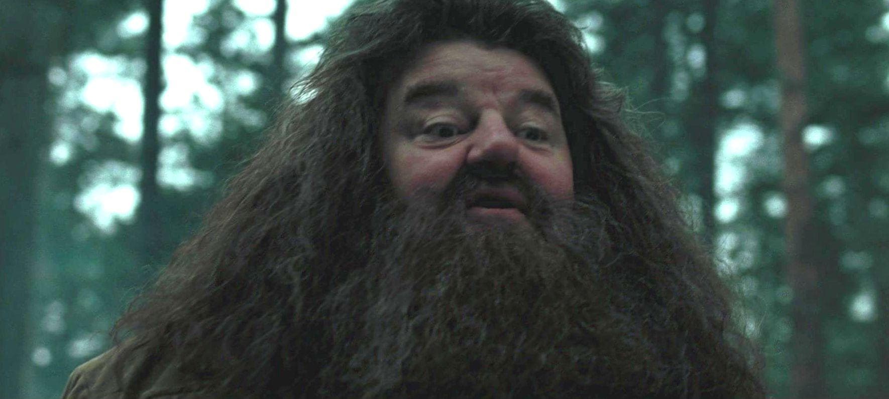 The 16 Best Hagrid Quotes, Ranked By Potterheads