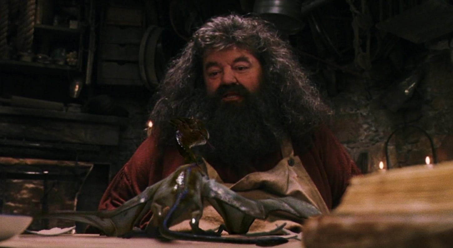 The 16 Best Hagrid Quotes, Ranked By Potterheads