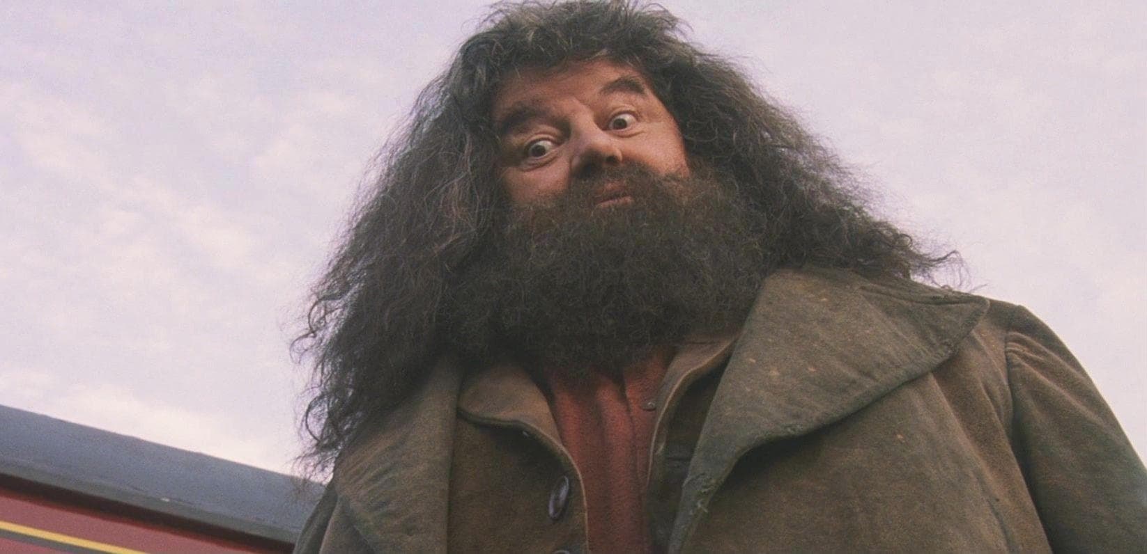 The 16 Best Hagrid Quotes, Ranked By Potterheads
