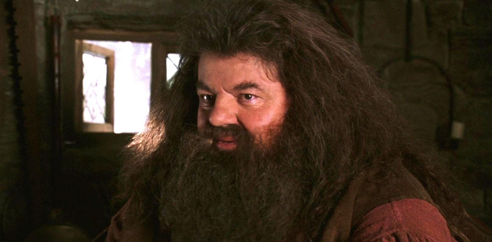 The 16 Best Hagrid Quotes, Ranked By Potterheads