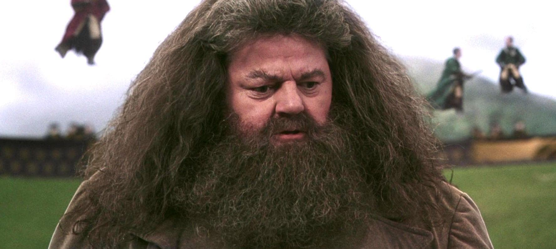 The 16 Best Hagrid Quotes, Ranked By Potterheads