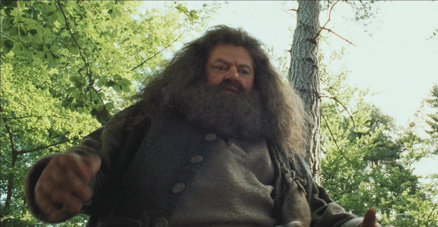 The 16 Best Hagrid Quotes, Ranked By Potterheads