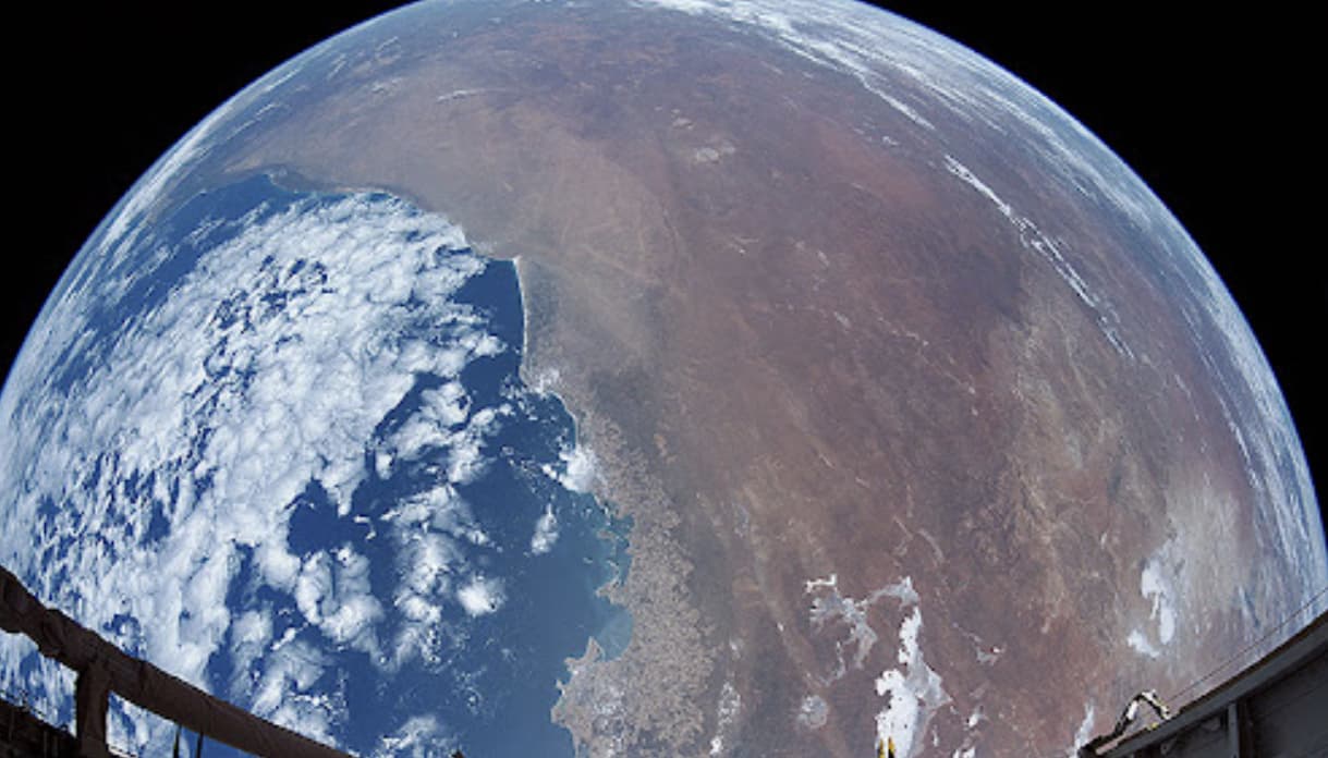 The 15 Best Documentaries For Kids, Ranked