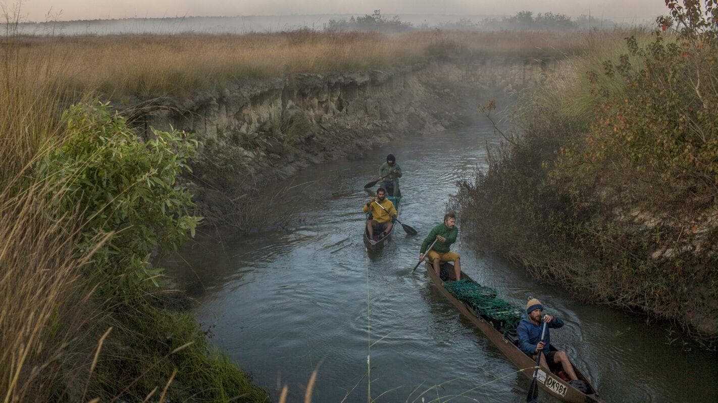 The 15 Best National Geographic Documentaries, Ranked