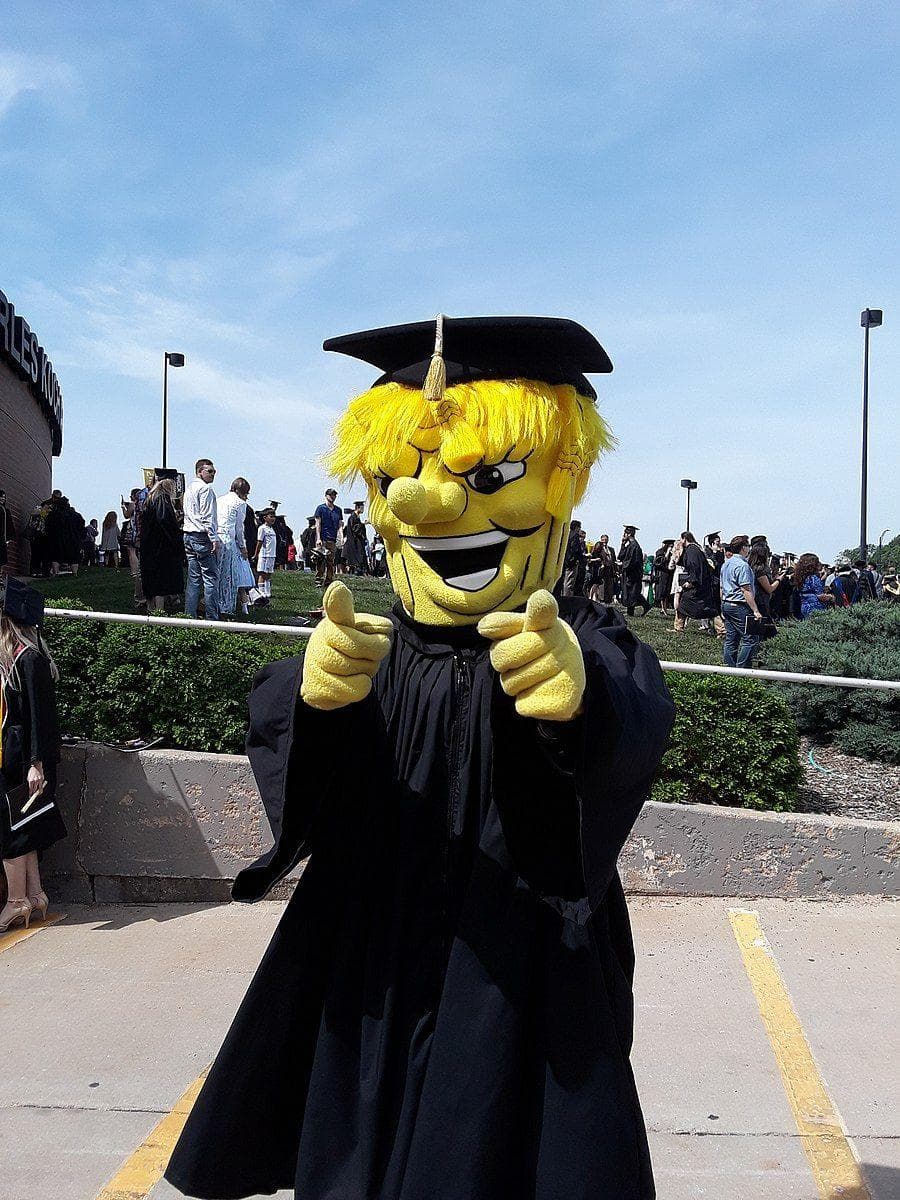 The 14 Weirdest Sports Mascots of All Time, Ranked By Fans