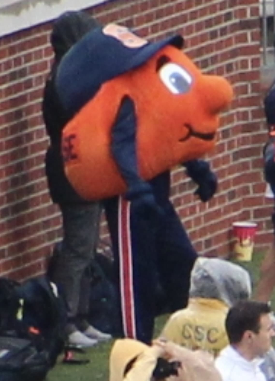 The 14 Weirdest Sports Mascots of All Time, Ranked By Fans