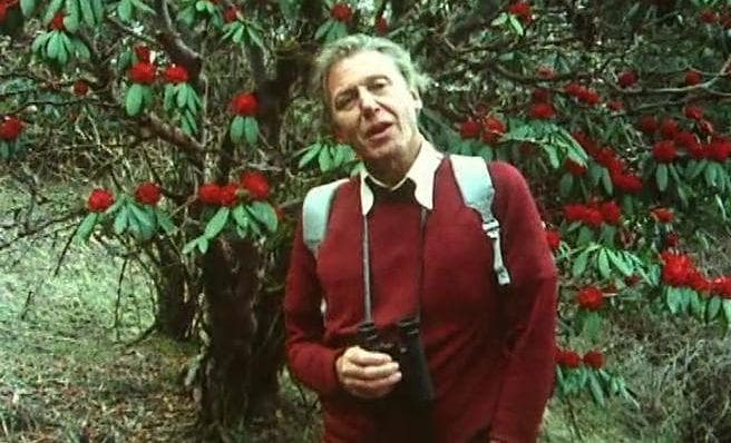 The 15 Best Documentaries With David Attenborough, Ranked