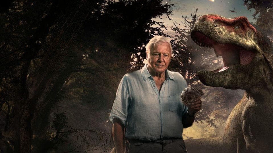 The 15 Best Documentaries With David Attenborough, Ranked