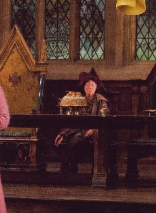 The 15 Best Harry Potter Hogwarts Professors, Ranked By Fans
