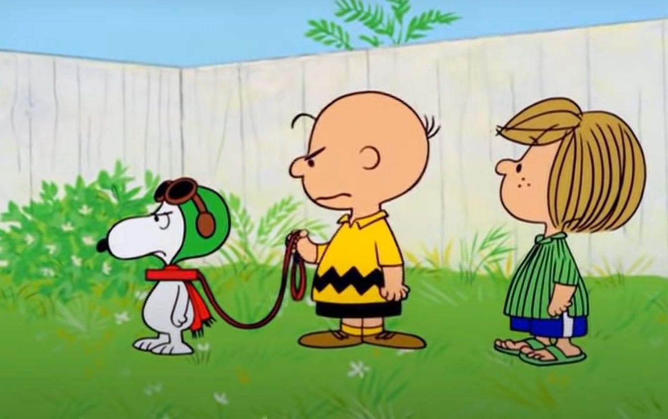 The 15 Best ‘Peanuts’ Specials Ranked By Fans