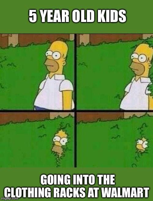 The 25 Funniest Simpsons Memes, Ranked By Fans