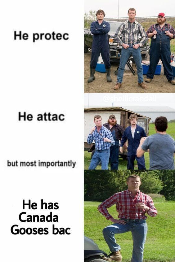 The 20 Funniest 'Letterkenny' Memes, Ranked