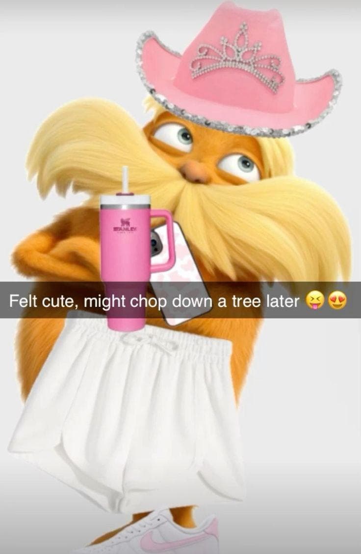The 20 Funniest 'The Lorax' Memes, Ranked By Fans