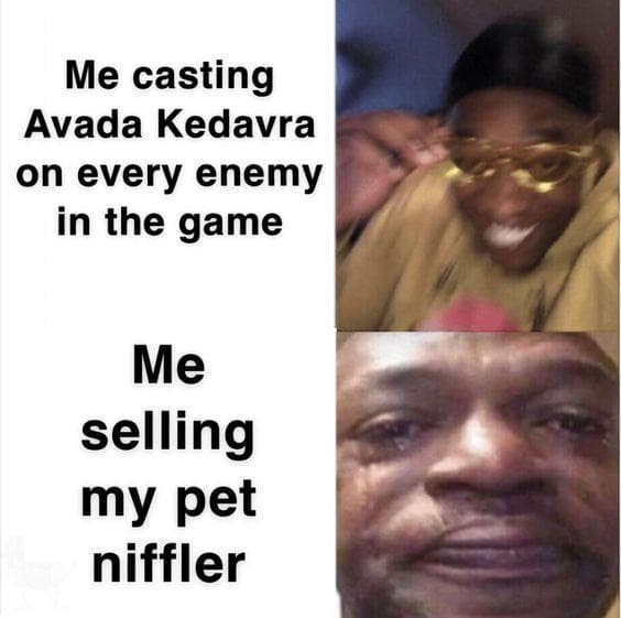 The 20 Funniest 'Hogwarts Legacy' Memes, Ranked