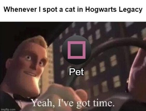 The 20 Funniest 'Hogwarts Legacy' Memes, Ranked