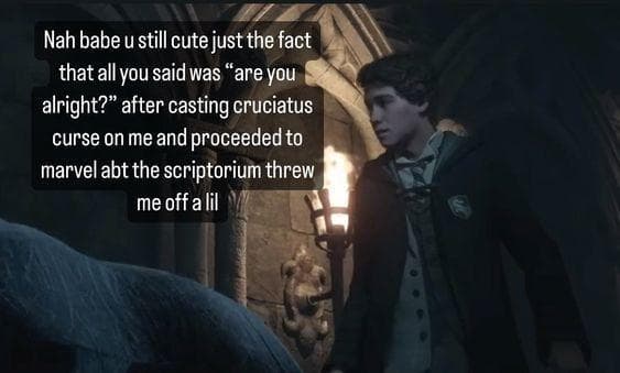 The 20 Funniest 'Hogwarts Legacy' Memes, Ranked